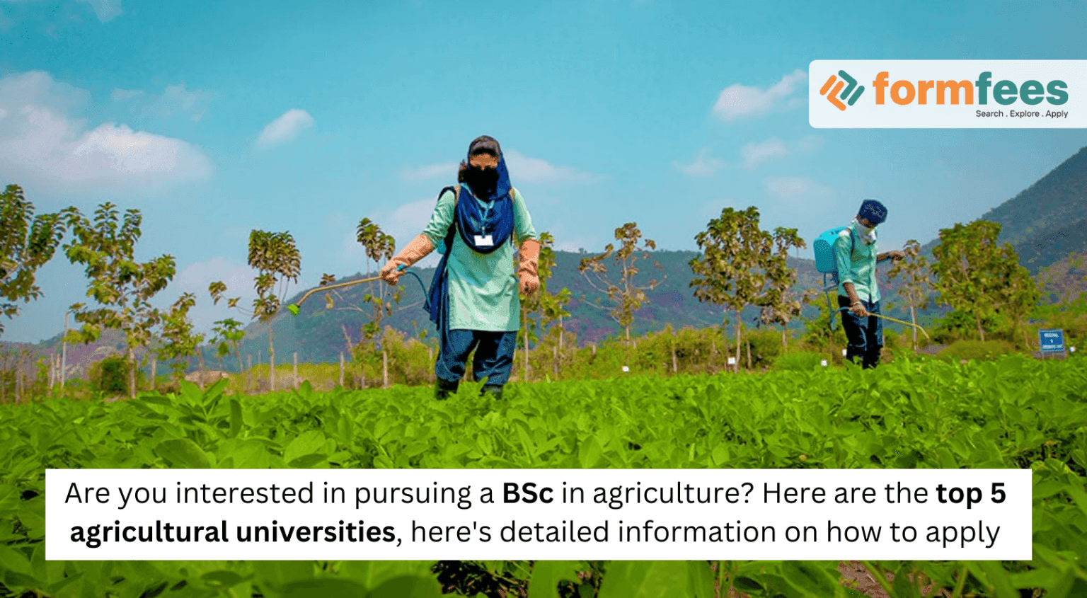 Are you interested in pursuing a BSc in agriculture? Here are the top 5 ...